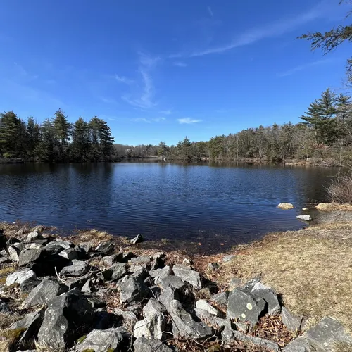 Best Hikes and Trails in Dunn State Park | AllTrails