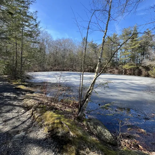 Best Hikes and Trails in Dunn State Park | AllTrails