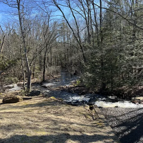 Best Hikes and Trails in Dunn State Park | AllTrails