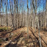 Mount Arab Trail, New York - 2,224 Reviews, Map | AllTrails