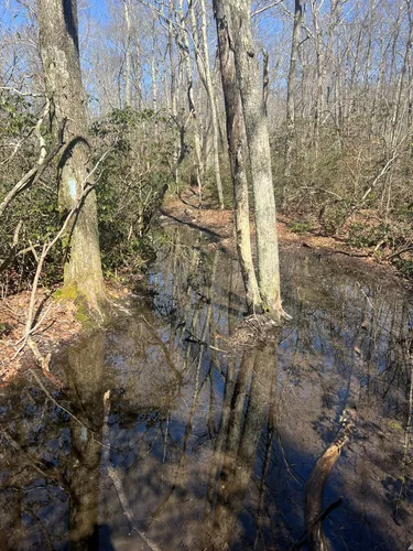 Best Lake Trails in Meshomasic State Forest | AllTrails