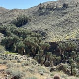Victor Loop, California - 1,522 Reviews, Map | AllTrails