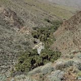 Victor Loop, California - 1,522 Reviews, Map | AllTrails