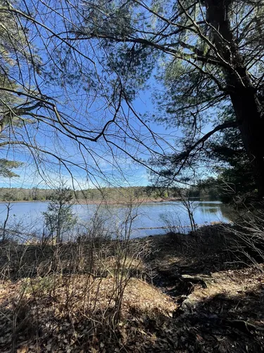 Best Views Trails in Owego | AllTrails