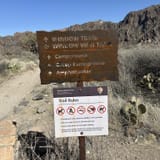 The Window Trail, Texas - 4,236 Reviews, Map | AllTrails