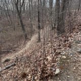 Ryan Park Loop, Rhode Island - 422 Reviews, Map | AllTrails