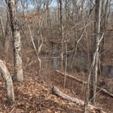 Ryan Park Loop, Rhode Island - 422 Reviews, Map | AllTrails