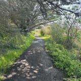 Mori Point Loop Trail, California - 4,739 Reviews, Map | AllTrails