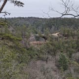 Sky Bridge Trail, Kentucky - 2,292 Reviews, Map | AllTrails