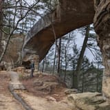 Sky Bridge Trail, Kentucky - 2,292 Reviews, Map | AllTrails