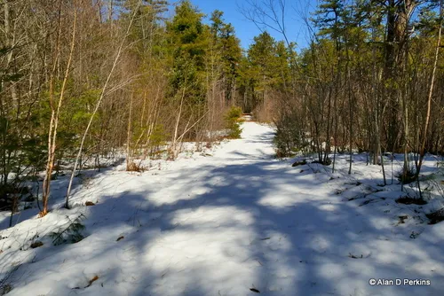 Best Hikes and Trails in Silver Lake | AllTrails