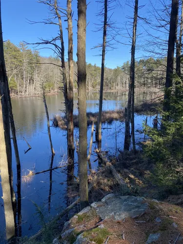 Best Historic Site Trails in Boxford | AllTrails