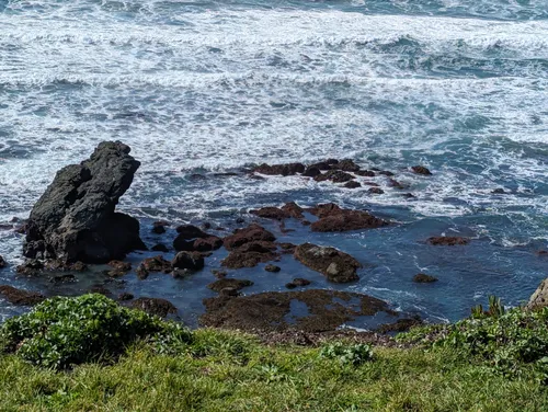 Best Hikes and Trails in Sea Ranch | AllTrails