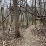 Bacon Ridge Trail: Phase 3, Maryland - 2,308 Reviews, Map | AllTrails
