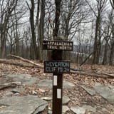 Weverton Cliffs, Maryland - 3,536 Reviews, Map | AllTrails