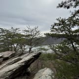 Weverton Cliffs, Maryland - 3,536 Reviews, Map | AllTrails