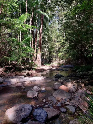 Best Walking Trails in Mount Nathan | AllTrails