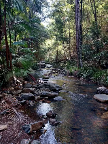 Best Walking Trails in Mount Nathan | AllTrails