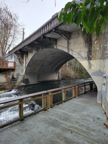 Best Hikes and Trails in Bellingham Maritime Heritage Park | AllTrails