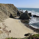 Bodega Head Trail, California - 1,676 Reviews, Map | AllTrails