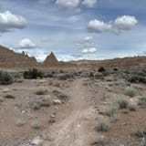 Juniper Draw Loop Trail, Nevada - 370 Reviews, Map | AllTrails