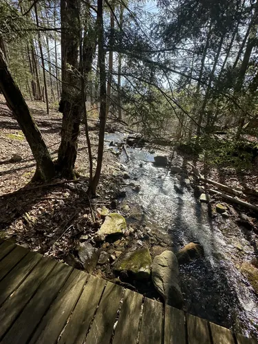 Best Hikes and Trails in Northfield Mountain Recreation and ...