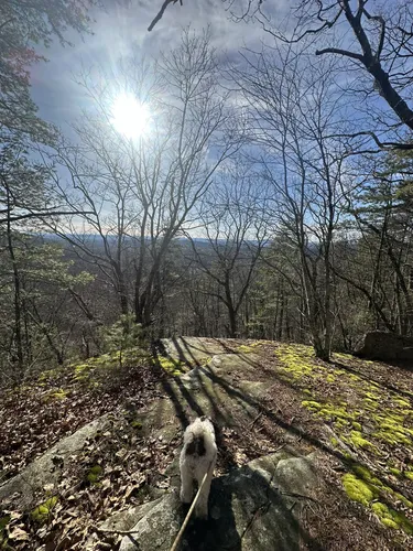 Best Hikes and Trails in Northfield Mountain Recreation and ...