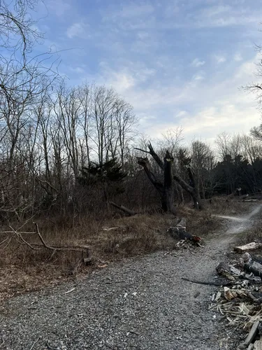 Best Hikes and Trails in David Overton Trail | AllTrails