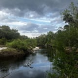 Econlockhatchee River Trail, Florida - 449 Reviews, Map | AllTrails