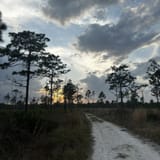 Econlockhatchee River Trail, Florida - 449 Reviews, Map | AllTrails