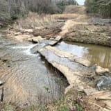 Peter's Creek Heritage Trail, South Carolina - 359 Reviews, Map | AllTrails