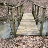 Peter's Creek Heritage Trail, South Carolina - 359 Reviews, Map | AllTrails