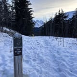 Bird Ridge Trail, Alaska - 1,007 Reviews, Map | AllTrails