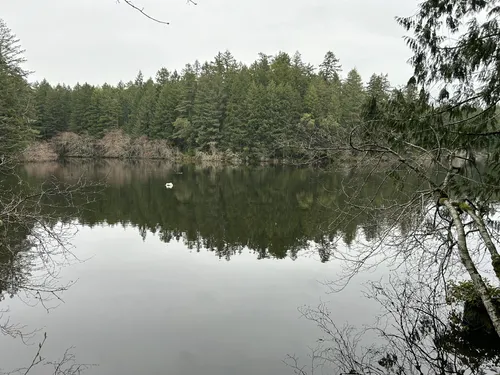 Best Easy Trails in Thetis Lake Regional Park | AllTrails