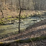 Sycamore Trail Loop, North Carolina - 1,603 Reviews, Map | AllTrails