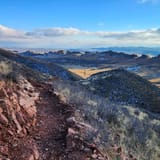 Devil's Backbone Nature Trail, Colorado - 2,160 Reviews, Map | AllTrails