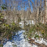 Pine Swamp Loop, New York - 1,220 Reviews, Map | AllTrails