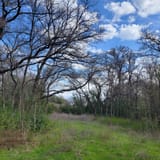 Spring Creek Nature Area Trail, Texas - 998 Reviews, Map | AllTrails