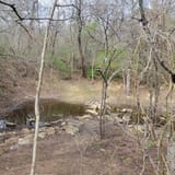 Spring Creek Nature Area Trail, Texas - 998 Reviews, Map | AllTrails