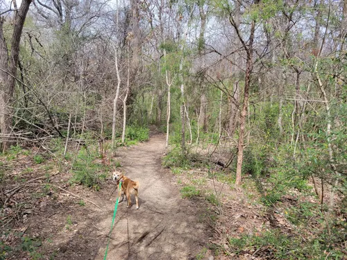 Best Hikes and Trails in Spring Creek Nature Area | AllTrails