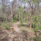 Spring Creek Nature Area Trail, Texas - 998 Reviews, Map | AllTrails