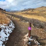 Devil's Backbone Nature Trail, Colorado - 2,160 Reviews, Map | AllTrails