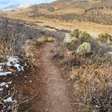 Devil's Backbone Nature Trail, Colorado - 2,160 Reviews, Map | AllTrails