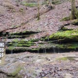 Mossy Ridge Trail Loop, Tennessee - 971 Reviews, Map | AllTrails