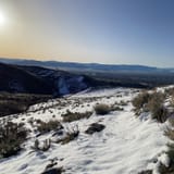 Keystone Canyon Trail, Nevada - 1,162 Reviews, Map | AllTrails