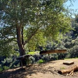 Fryman Canyon Trail, California - 6,039 Reviews, Map | AllTrails