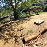 Fryman Canyon Trail, California - 6,039 Reviews, Map | AllTrails