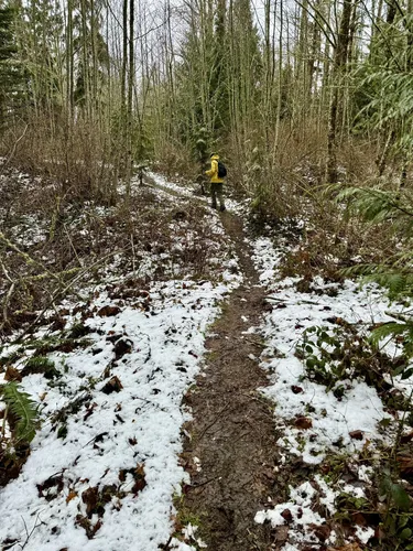 Best Hikes and Trails in Agate Bay Preserve | AllTrails