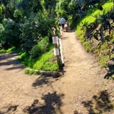 Fryman Canyon Trail, California - 6,039 Reviews, Map | AllTrails