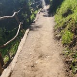 Fryman Canyon Trail, California - 6,039 Reviews, Map | AllTrails